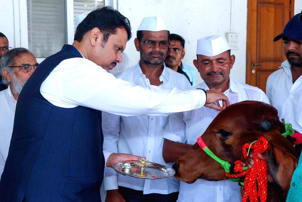 Maharashtra CM-designate Devendra Fadnavis worships a cow ahead of the ...