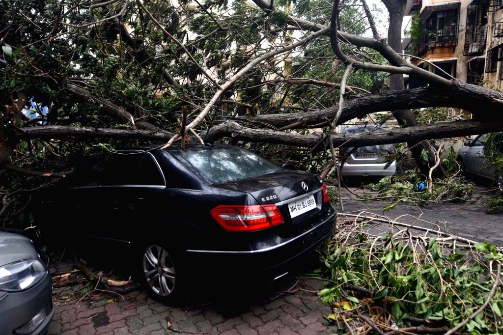 Tauktae: Goa oppn attacks government's handling of cyclone