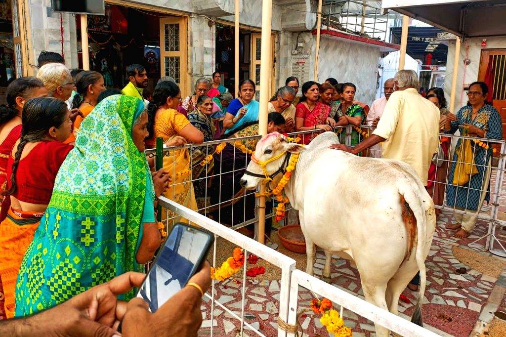 Nagpur : Devotees perform rituals on the occasion of 'Vasu Baras