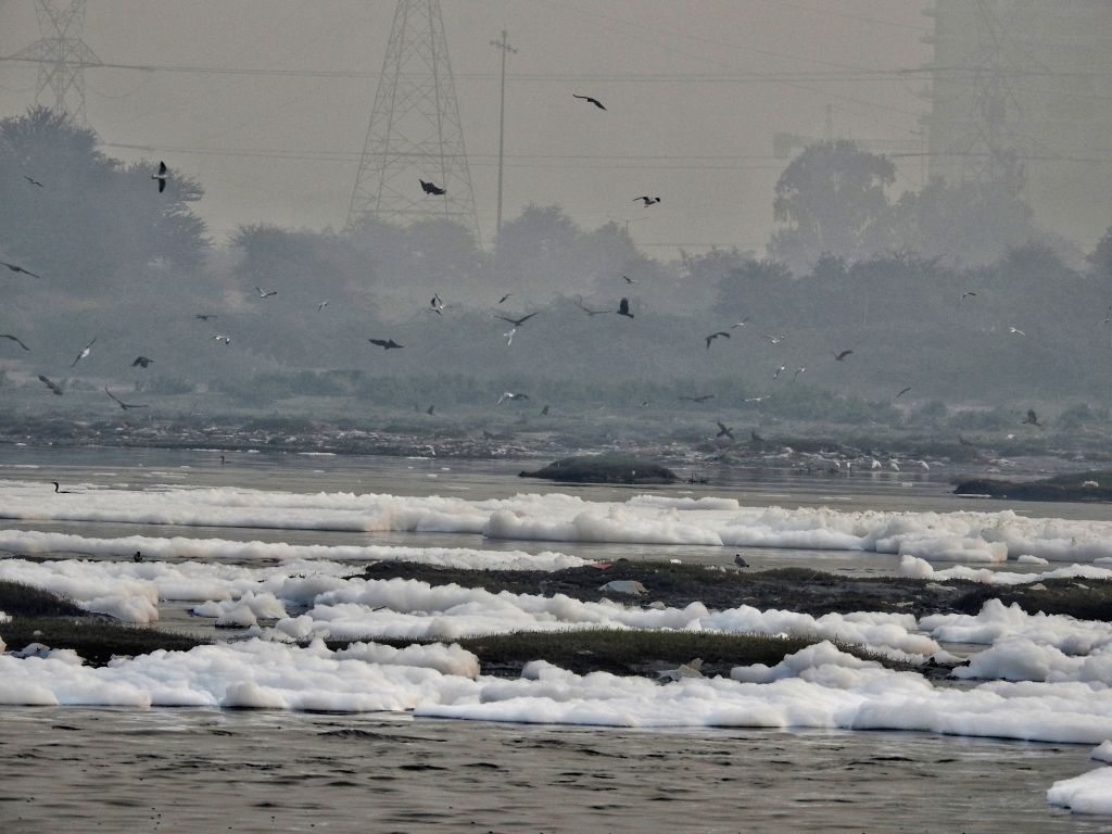 : New Delhi : A layer of toxic foam has covered the Yamuna river in ...