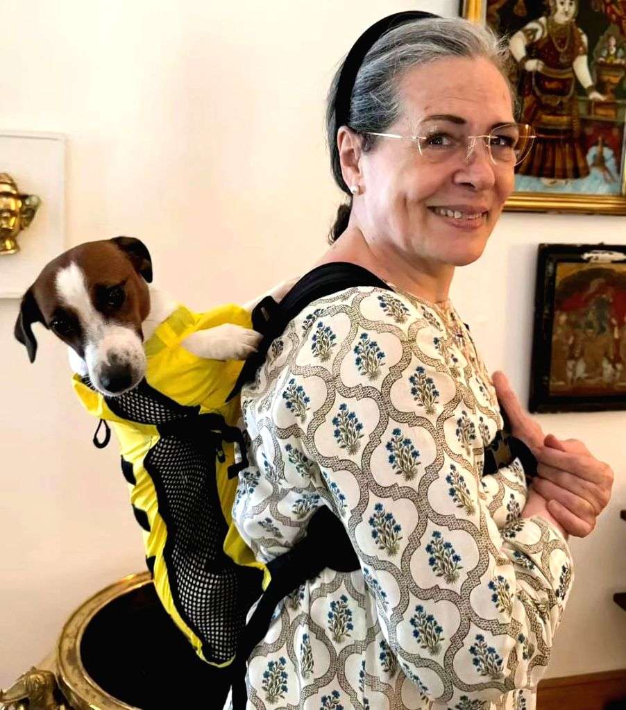 New Delhi : A picture of Congress leader Sonia Gandhi with her pet dog ...