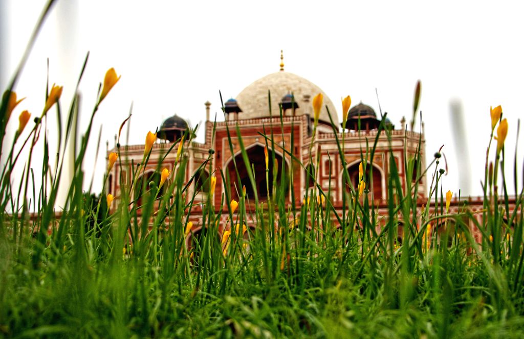 New Delhi : Flowers bloom in front of Humayun's Tomb during monsoon season