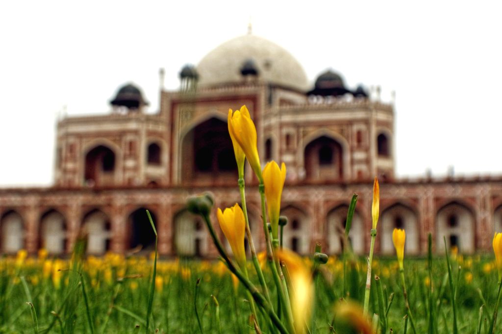 New Delhi : Flowers bloom in front of Humayun's Tomb during monsoon season