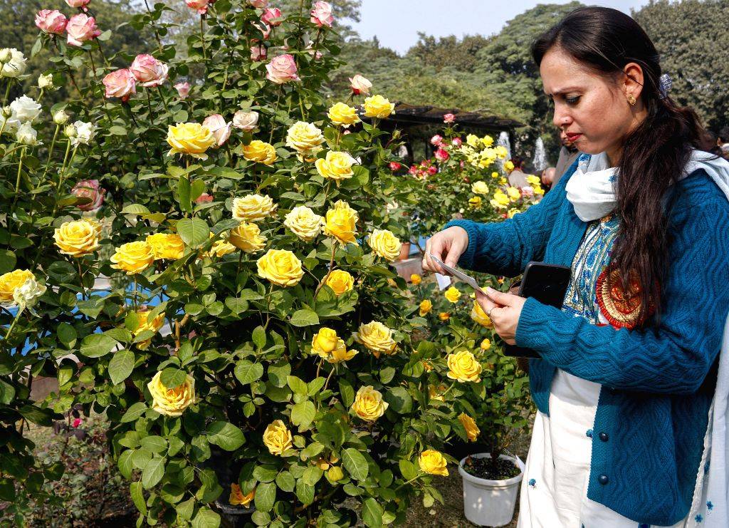 Winter Rose Show blooms in New Delhi