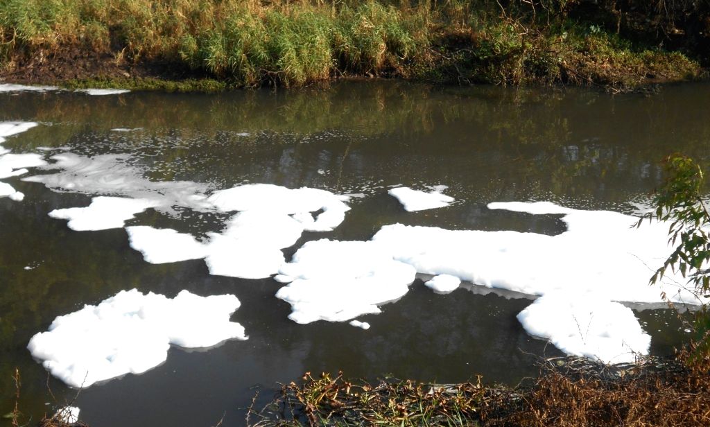 Free Photo:Noyyal river