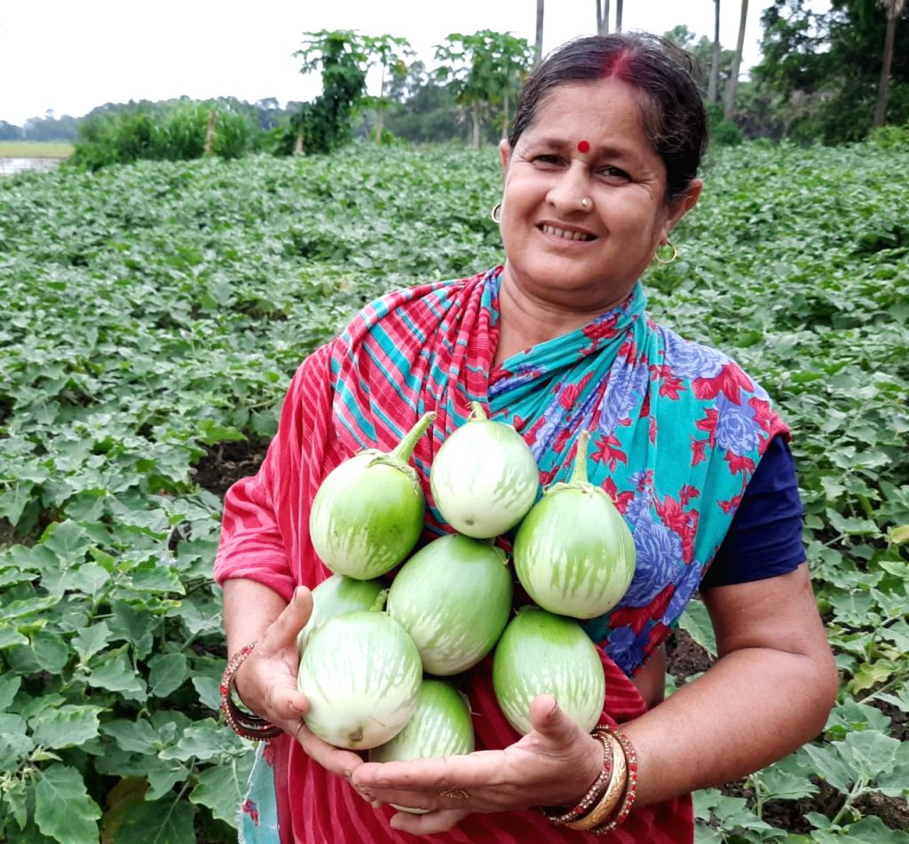 Free Photo: Odisha farmer distributes free vegetables, appeals on ...