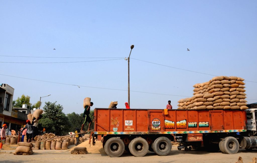Paddy procurement commences in Punjab