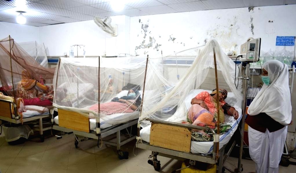 Patients infected with dengue fever are treated inside mosquito nets at ...