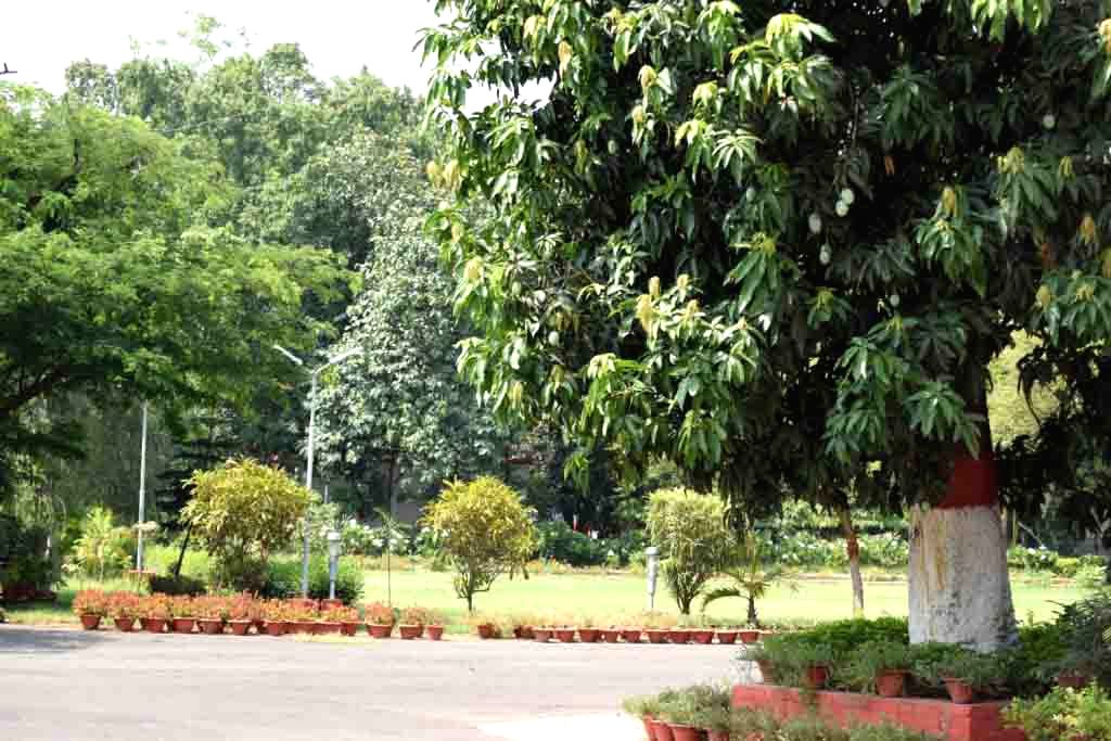 Bihar CMâ s official residence