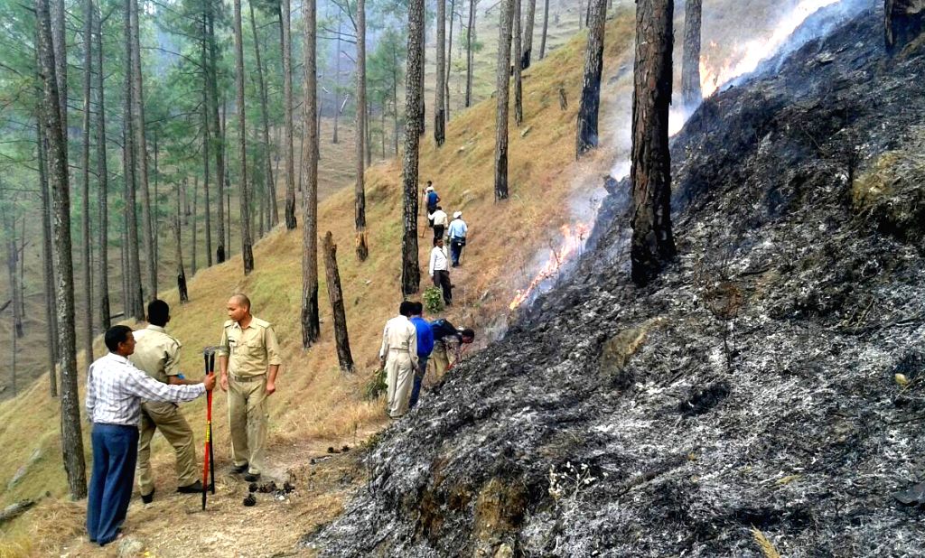 Uttarakhand forest fire