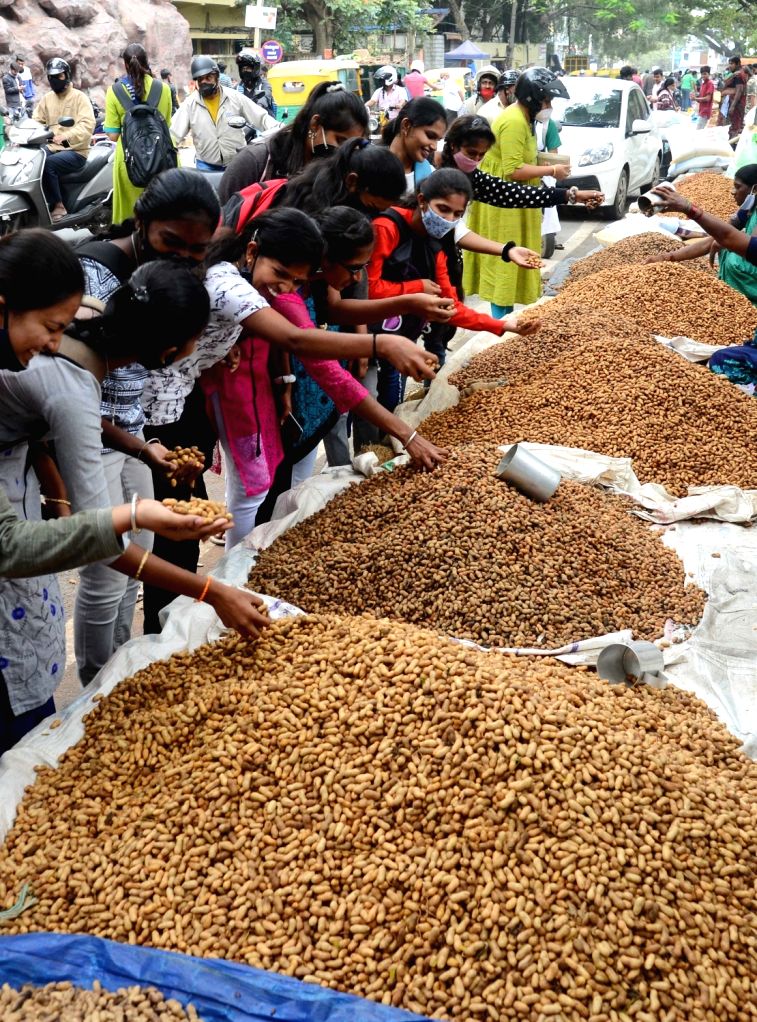 :Bengaluru: Varieties of Kadlekai (groundnuts) attract the visitors ...