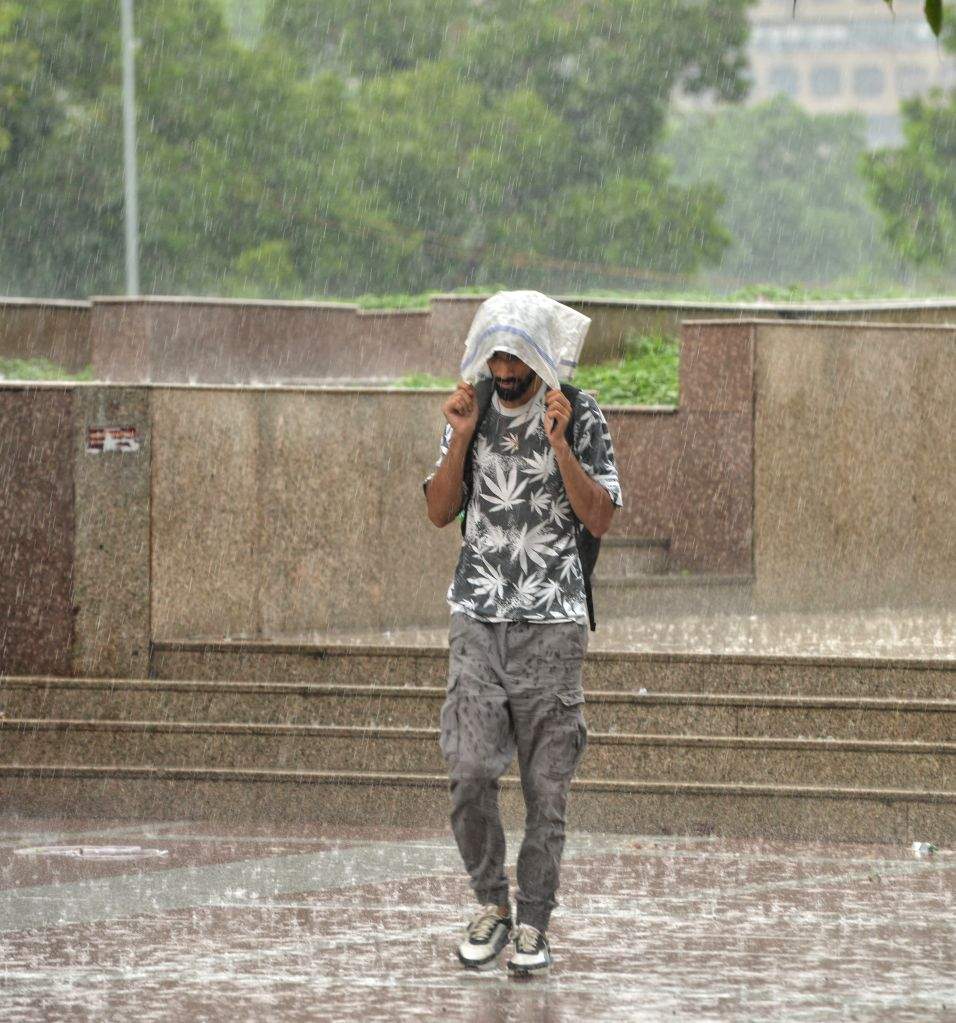 People shields themselves from the rain in New Delhi