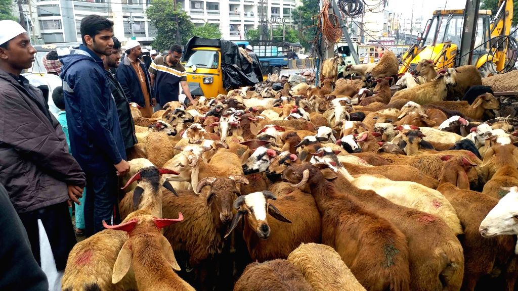 People take a look at goats to buy at a livestock market