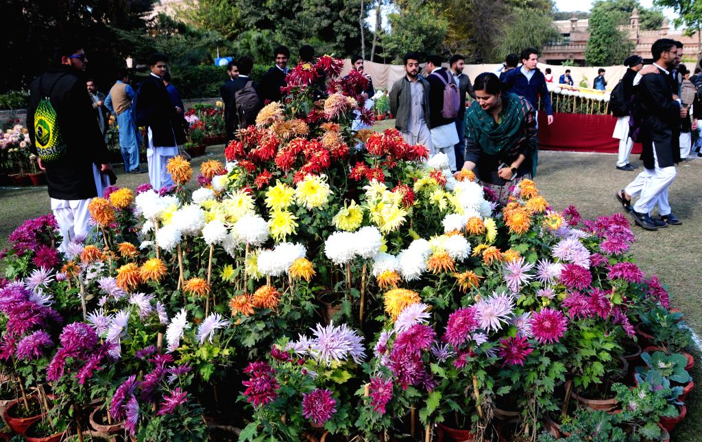PAKISTAN-PESHAWAR-CHRYSANTHEMUM-SHOW