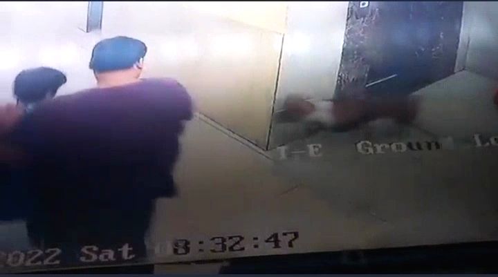 Free Photo: Pet boxer dog attacks child, incident captured in CCTV.