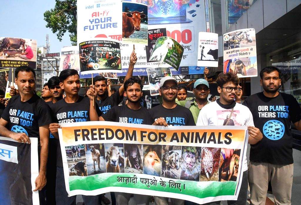 Pet Lovers Demand Freedom for Animals