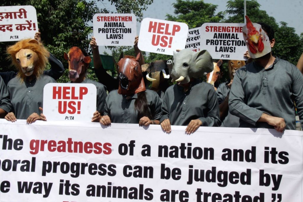 PETA activists' demonstration