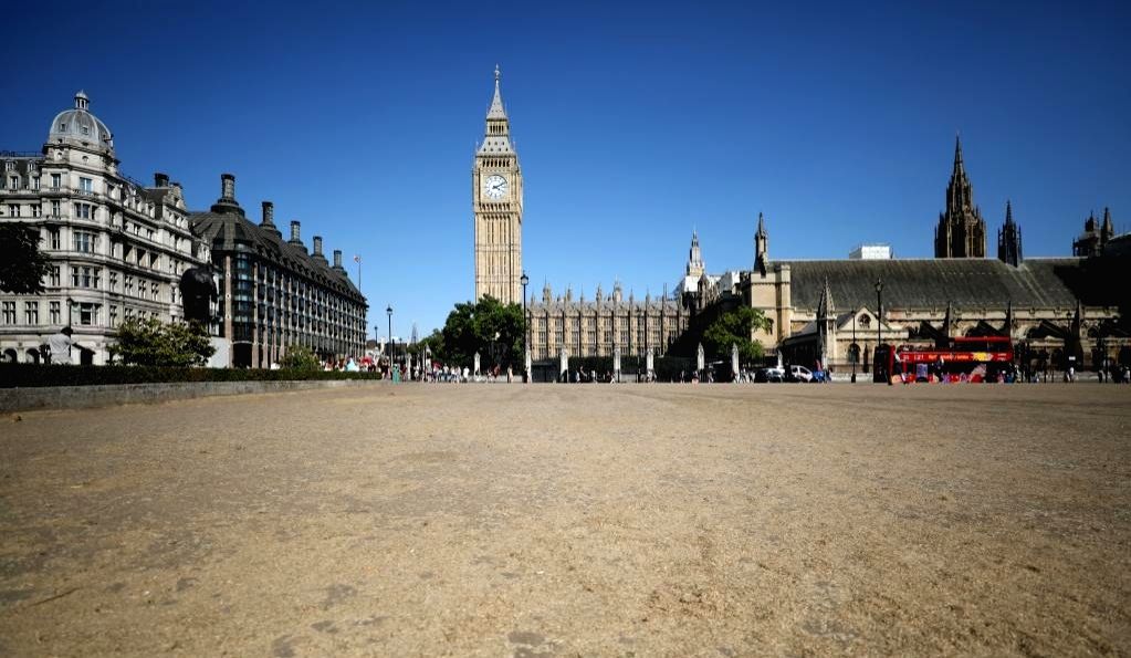A view of the lawn in Parliament Square in London