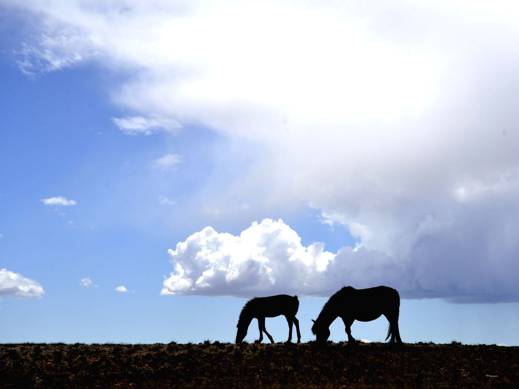 CHINA-INNER MONGOLIA-BAYANNUR-CLOUDS