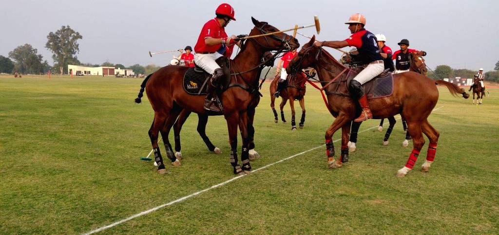 British Polo Day