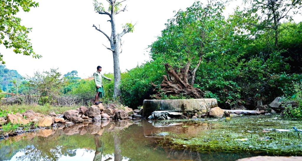 Poor access to forest resources, welfare schemes gives Juangs of ...