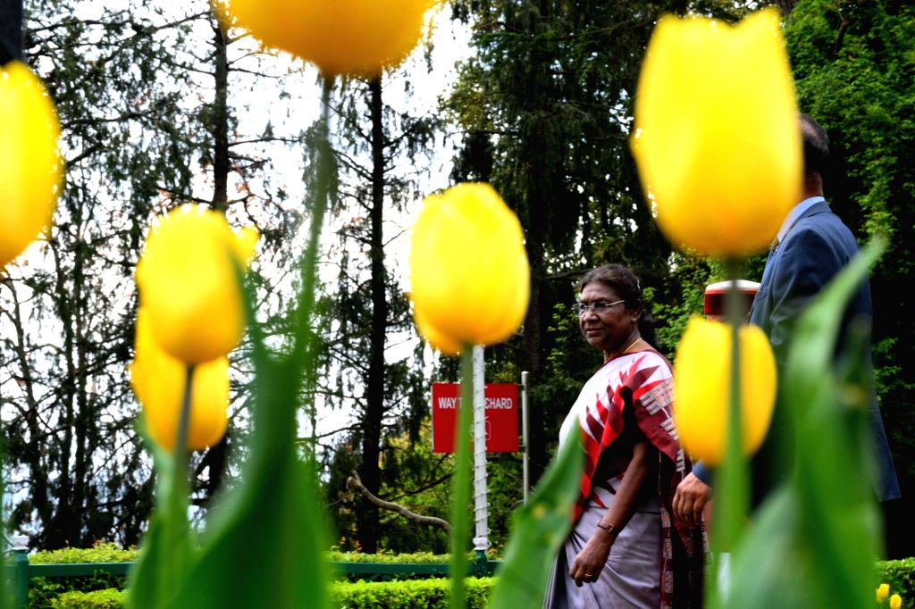 President Droupadi Murmu graces the opening of the Tulip Garden at ...