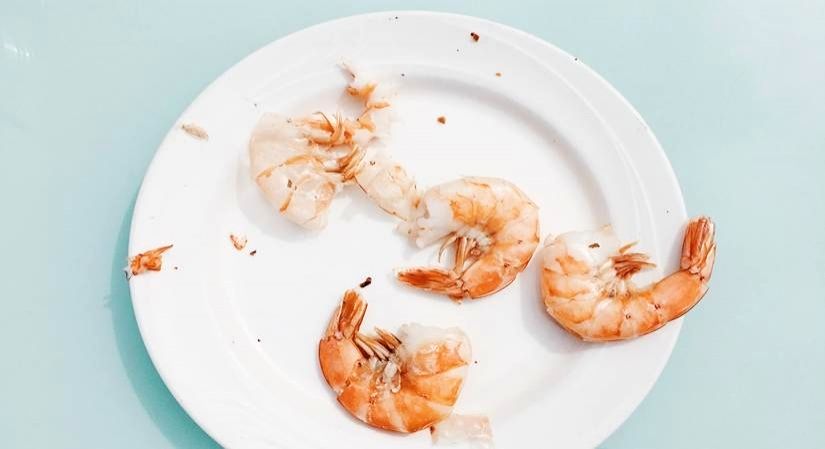 Protein Week 2020: Focus on nutrition to boost immunity