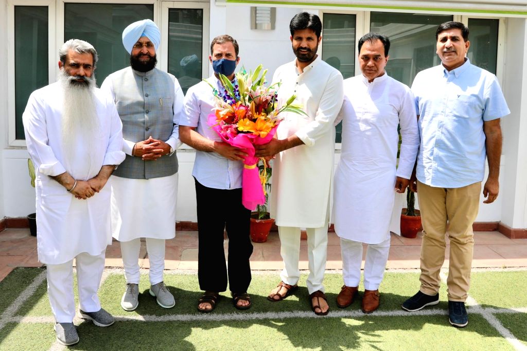 Punjab PCC chief Amarinder Singh Raja and others meet Rahul Gandhi