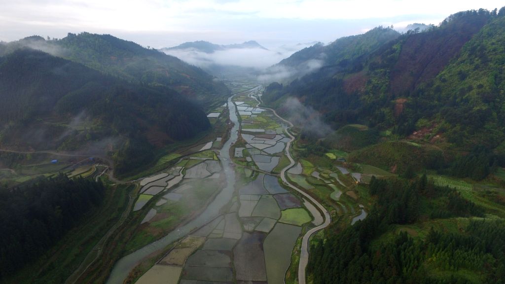CHINA-GUIZHOU-SPRING SCENERY