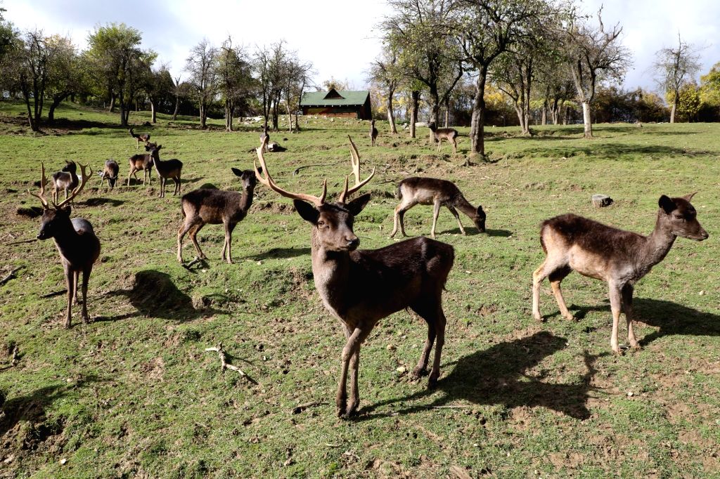 BOSNIA AND HERZEGOVINA-SARAJEVO-ZOO