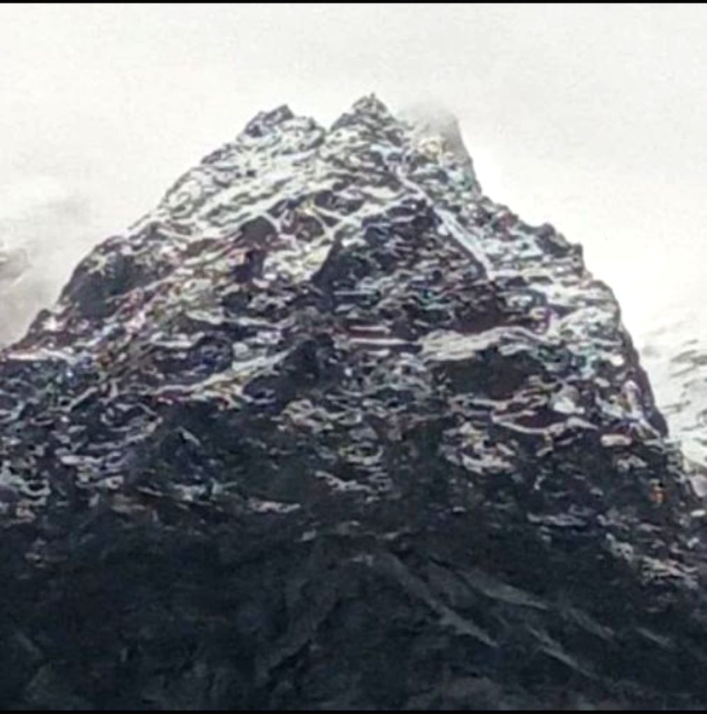 Free Photo: Season's first snowfall in 3 districts of Uttarakhand.