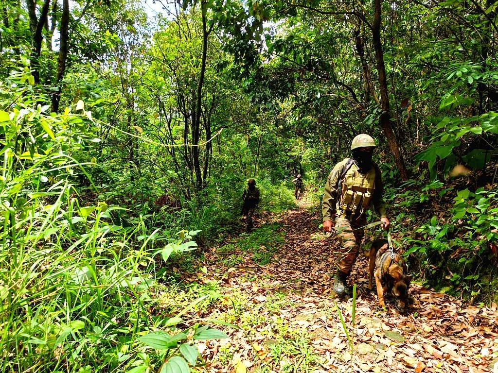 Security forces conduct area domination patrols