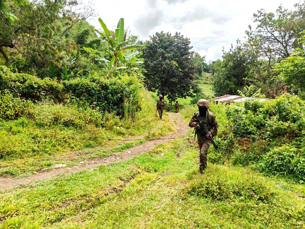 Security forces conduct area domination patrols