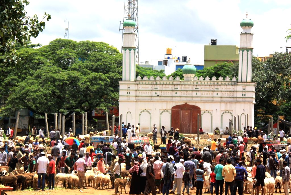Sheep for sale at Chamrajpet Eidgah Ground, ahead of Bakrid festival ...