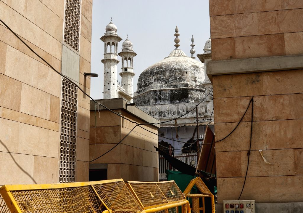 Sheshnag, Shringar Gauri-like structures inside Gyanvapi mosque, says ...
