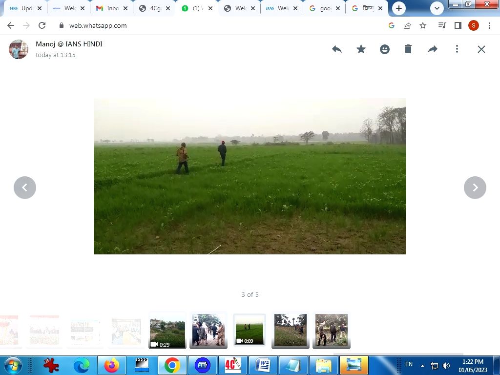 Free Photo : 'Shootout' of stray dogs in Bihar's Begusarai.