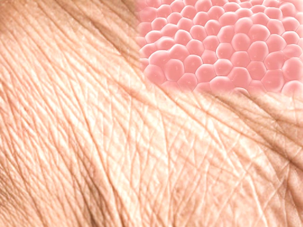Ageing in human skin cells reversed by 30 years
