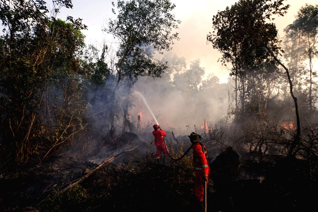 Indonesia probes firms over fires on Sumatra, Borneo