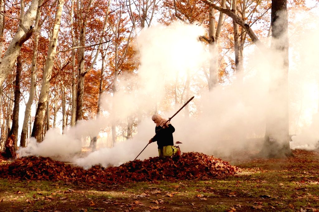 Srinagar : Autumn season in Jammu and Kashmir