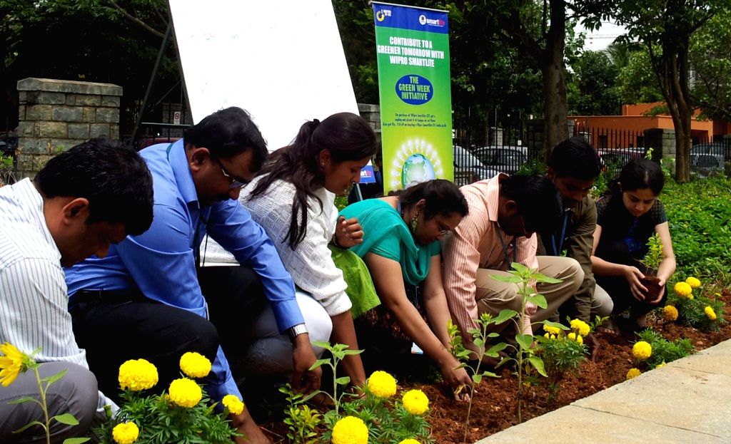 Staffs of Wipro Consumer Care and Lighting planting a saplings in Bengaluru