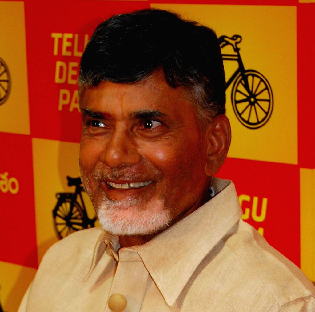 N. Chandrababu Naidu celebrates party's performance