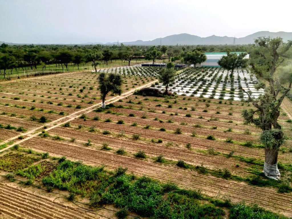 Free Photo: The overview of the farm also showing plastic sheets spread ...