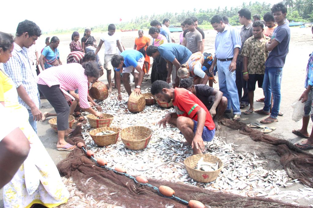 Ramponkars with their catch