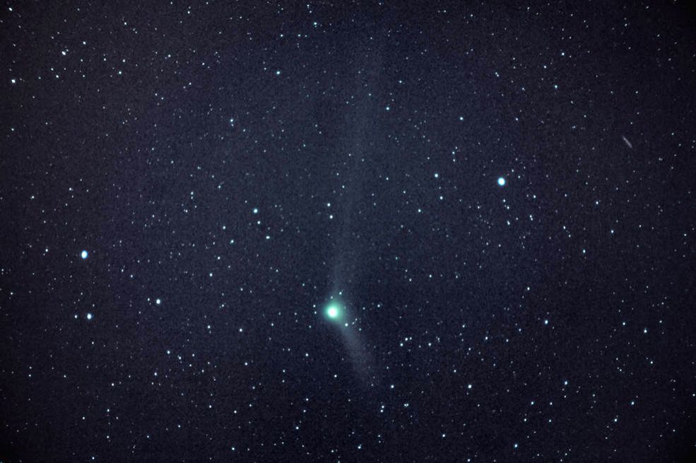 Wish Happy New Year to rare comet on January 1 ()