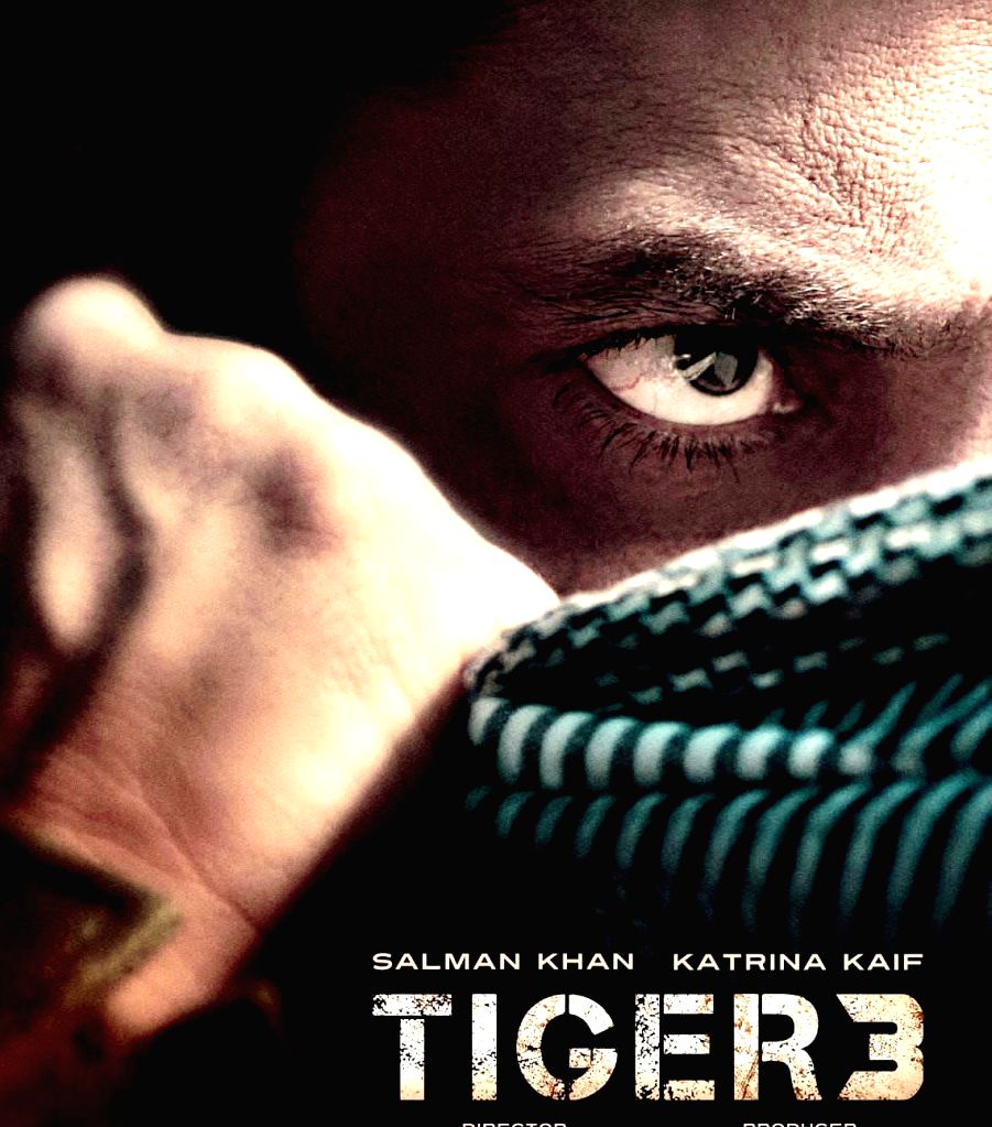Free Photo: Tiger 3
