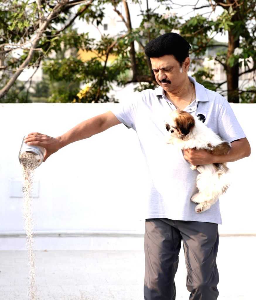TN CM Stalin Feeds Birds