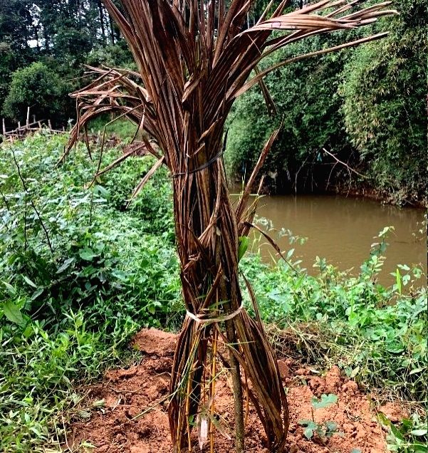 To prevent further devastation from floods, Kerala's Wayanad turns to ...