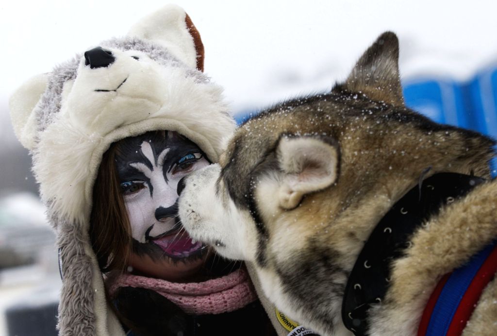 The 10th Annual Cannington Dog Sled Races And Winter Festival in Brock ...