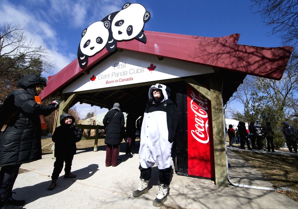 CANADA-TORONTO-PANDA-FAREWELL