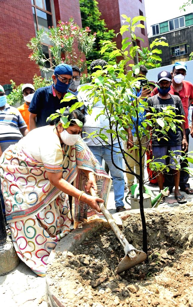 Tree plantation during World Environment Day observe in Kolkata